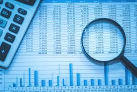 EL CONTROL FINANCIERO EN LAS EELL. ESPECIAL INCIDENCIA EN LAS ...